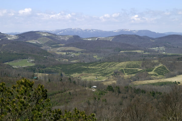 Ashe County Homes for Sale - NC Mountain Properties - NC
