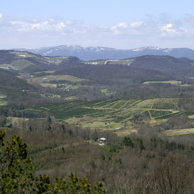 Ashe County NC Real Estate - NC Mountain Properties