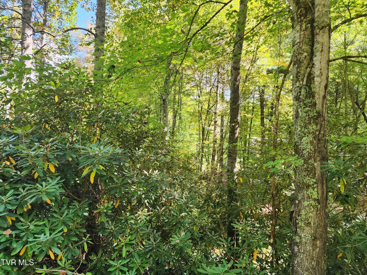 Mountain City TN Lots, Land for Sale - NC Mountain Properties